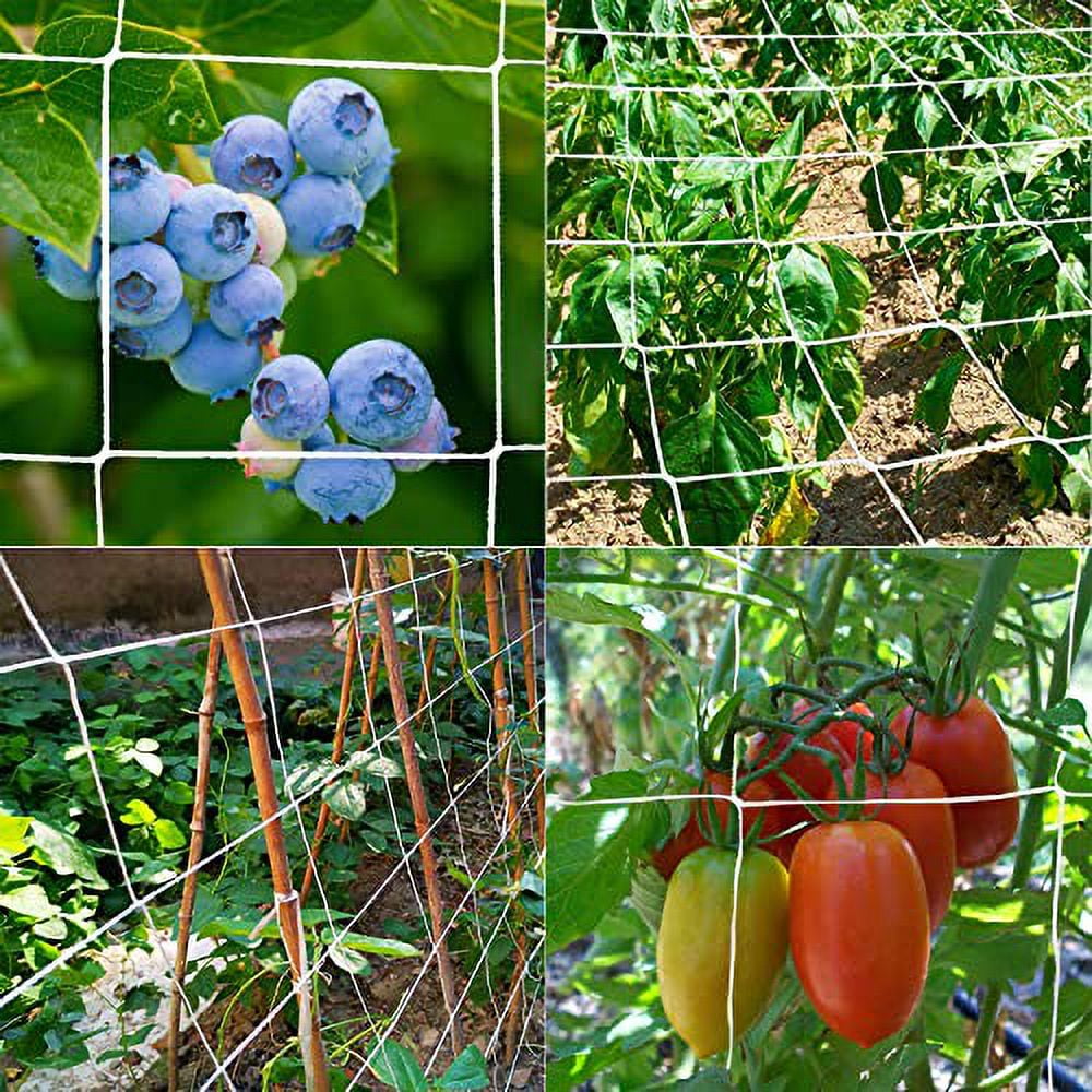 Heavy Duty Trellis Netting Bulk Roll - 5ft × 350ft Soft Mesh Support ...