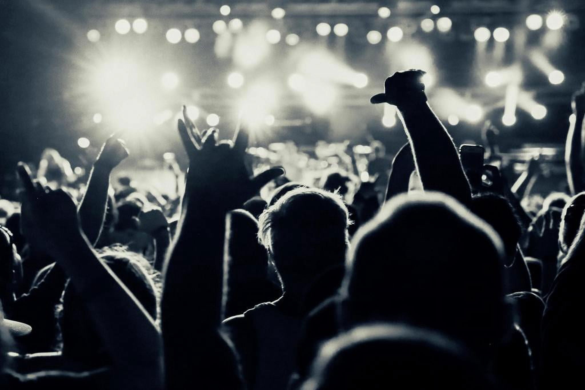 Heavy Metal Concert Pit Black and White B&W Photo Photograph Cool Wall ...