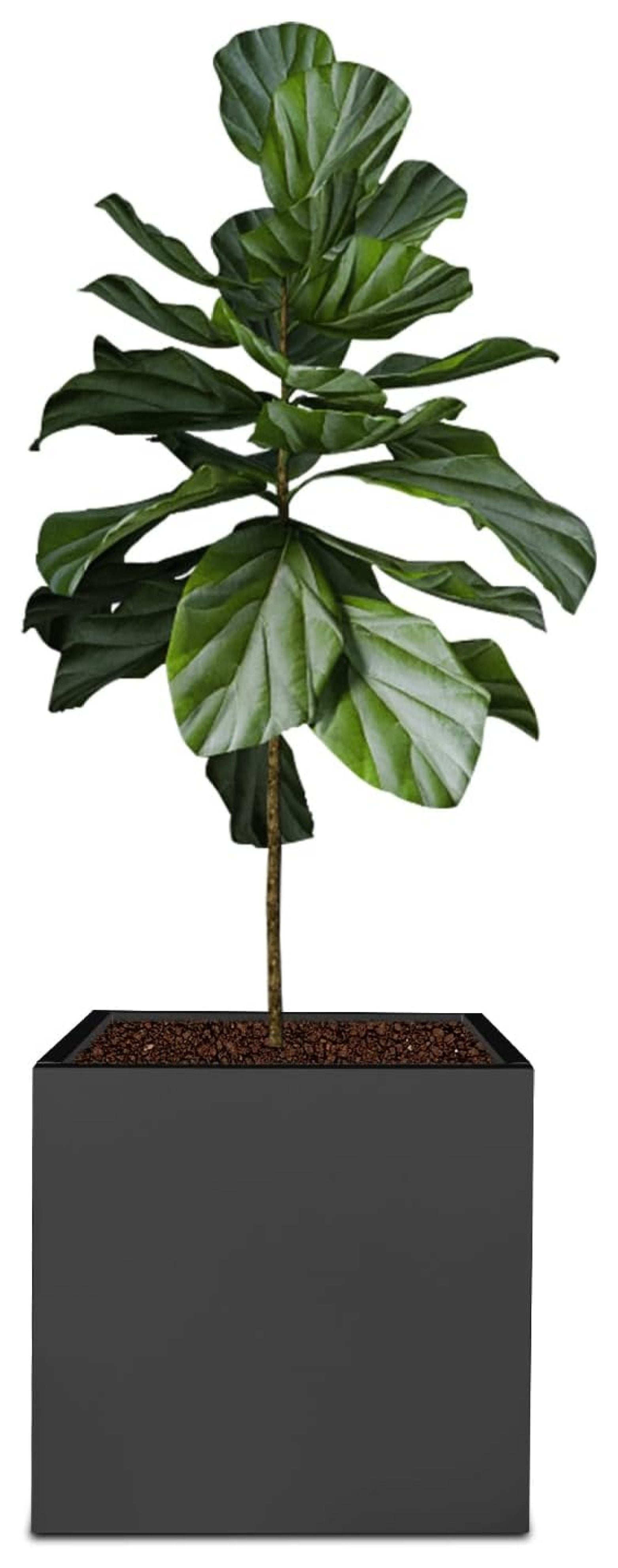 Heavy Planter for Outdoor Plants, 20L x 20W x 20H Inches Metallic ...