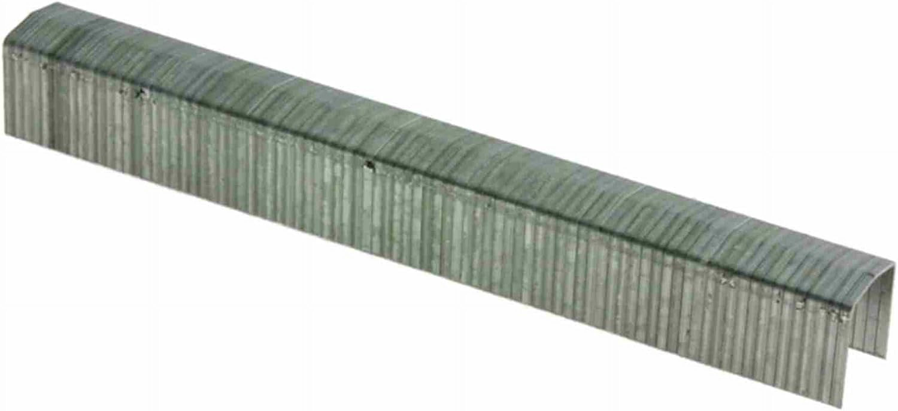 Heavy Wire Staples, 1/2" x 1/2", 5000 Pieces, Metallic - Walmart.com