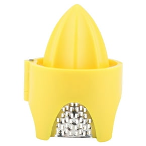 Glass Citrus Juicer