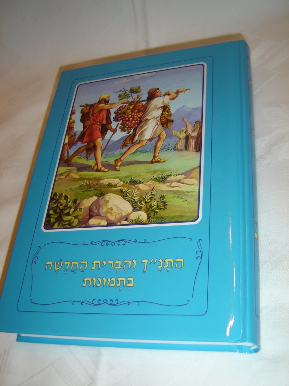 Hebrew Children's Bible / Bible Stories with Pictures / Borislav Arapovic and Vera Mattelmaki ...