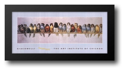 Hector Giacomelli - The Bird Perch 40x20 Framed Art Print by Giacomelli ...
