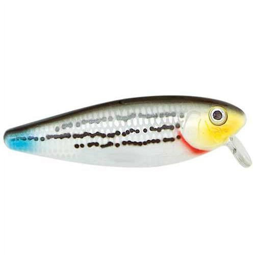 Heddon Saltwater Swim'n Image Fishing Lure, 3-Inch, 7/16 Ounce, Striped ...