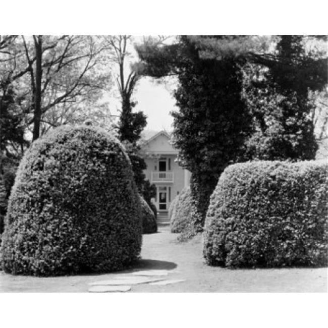 Hedge in Front of a House Ash Lawn-Highland Home of US President James ...