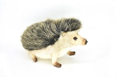 Hedgehog, African Pygmy, Stuffed Animal, Educational, Plush Realistic ...
