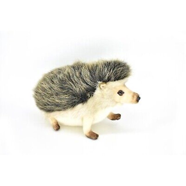 Hedgehog, African Pygmy, Stuffed Animal, Educational, Plush Realistic ...