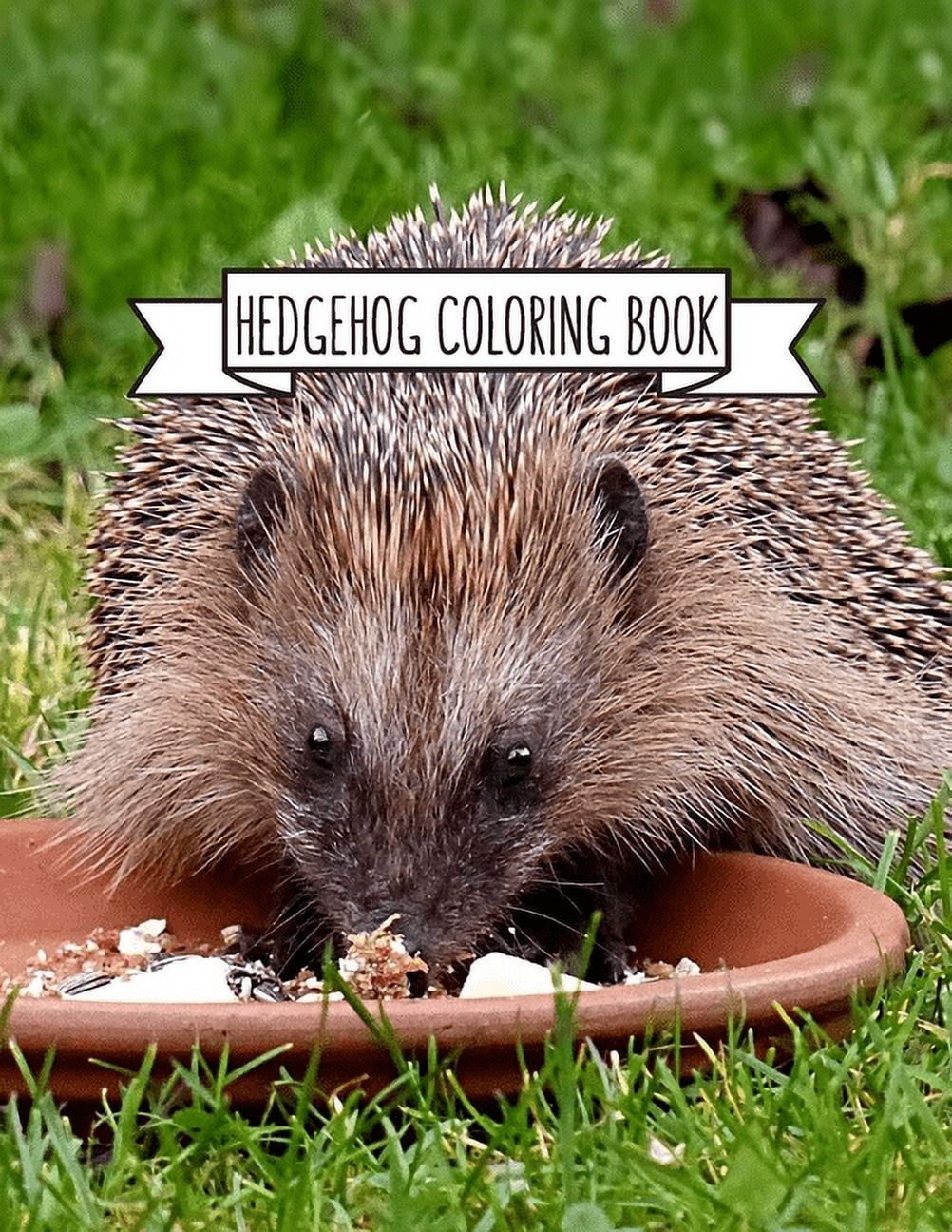 Hedgehog Coloring Book : Hedgehog Lover Gifts for Toddlers, Kids or ...