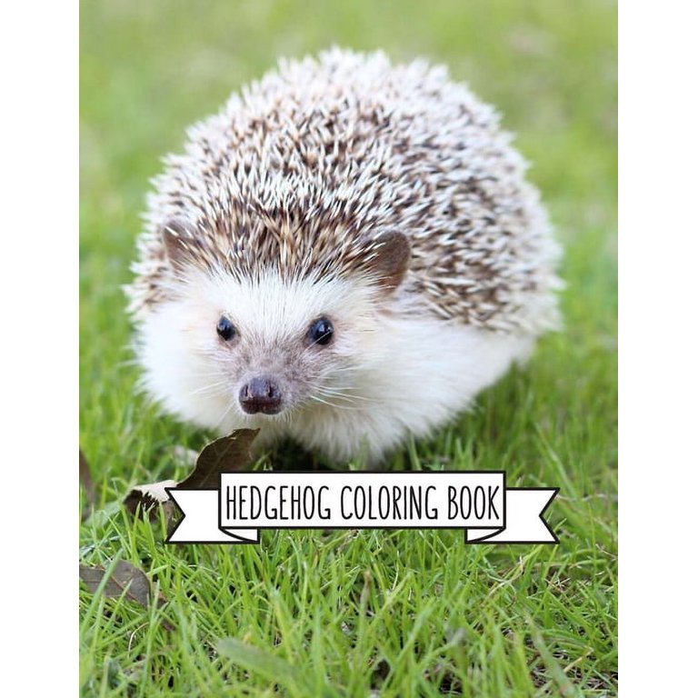 how to make a hedgehog out of a paperback book