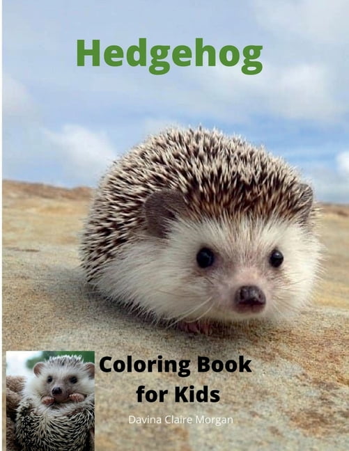 Hedgehog Coloring Book for Kids: Children Activity Book for Boys and ...