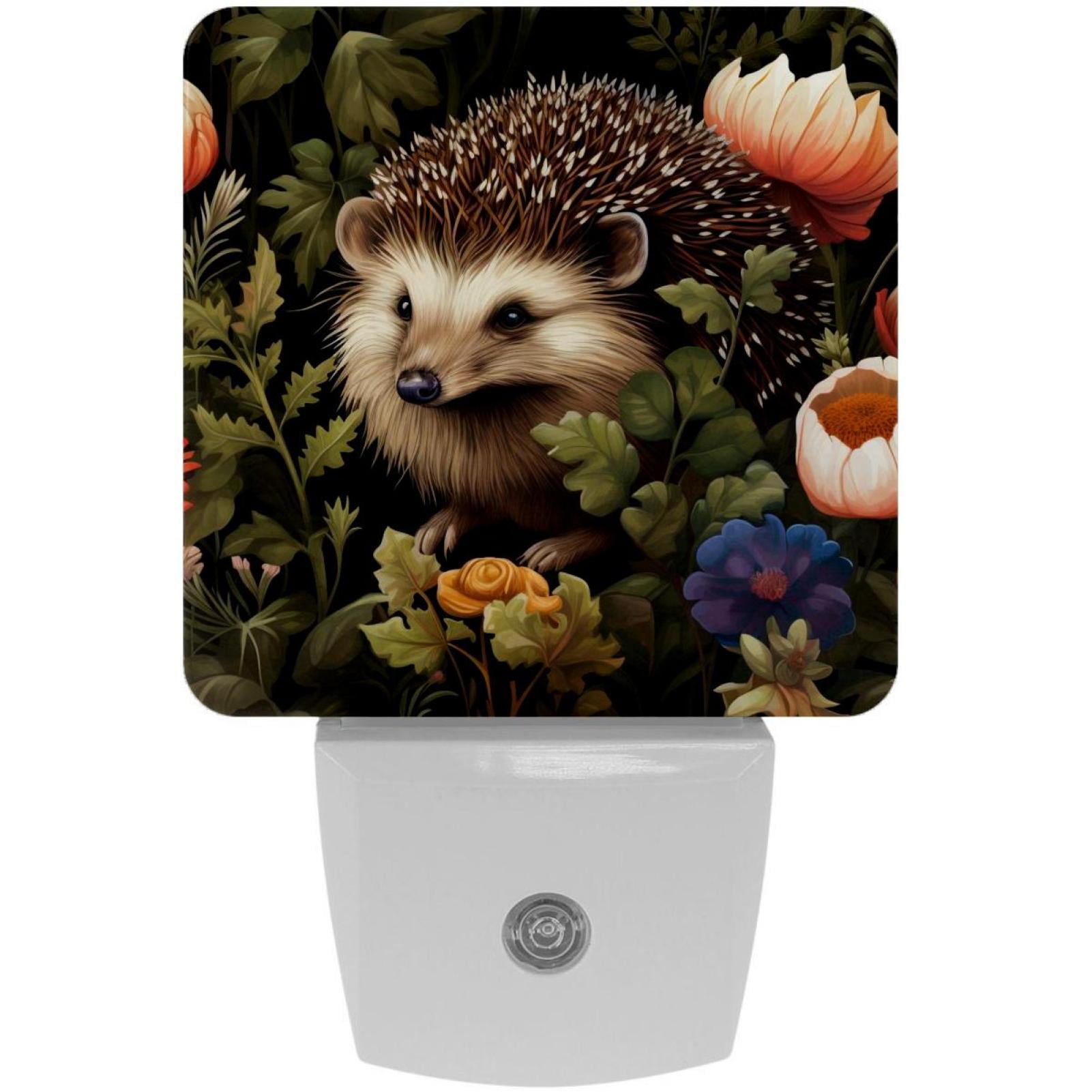 Hedgehog Enhance Your Space with LED Square Night Lights - Versatile ...