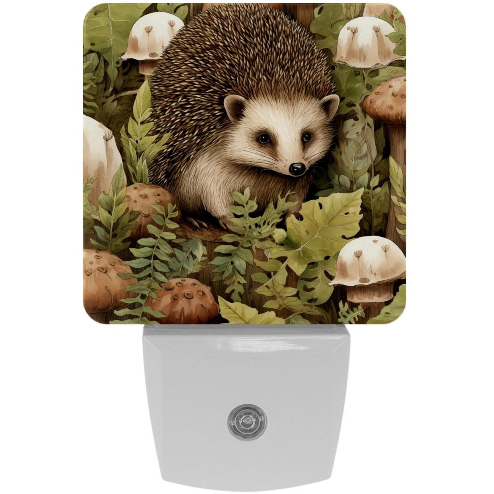 Hedgehog Enhance Your Space with LED Square Night Lights - Versatile ...