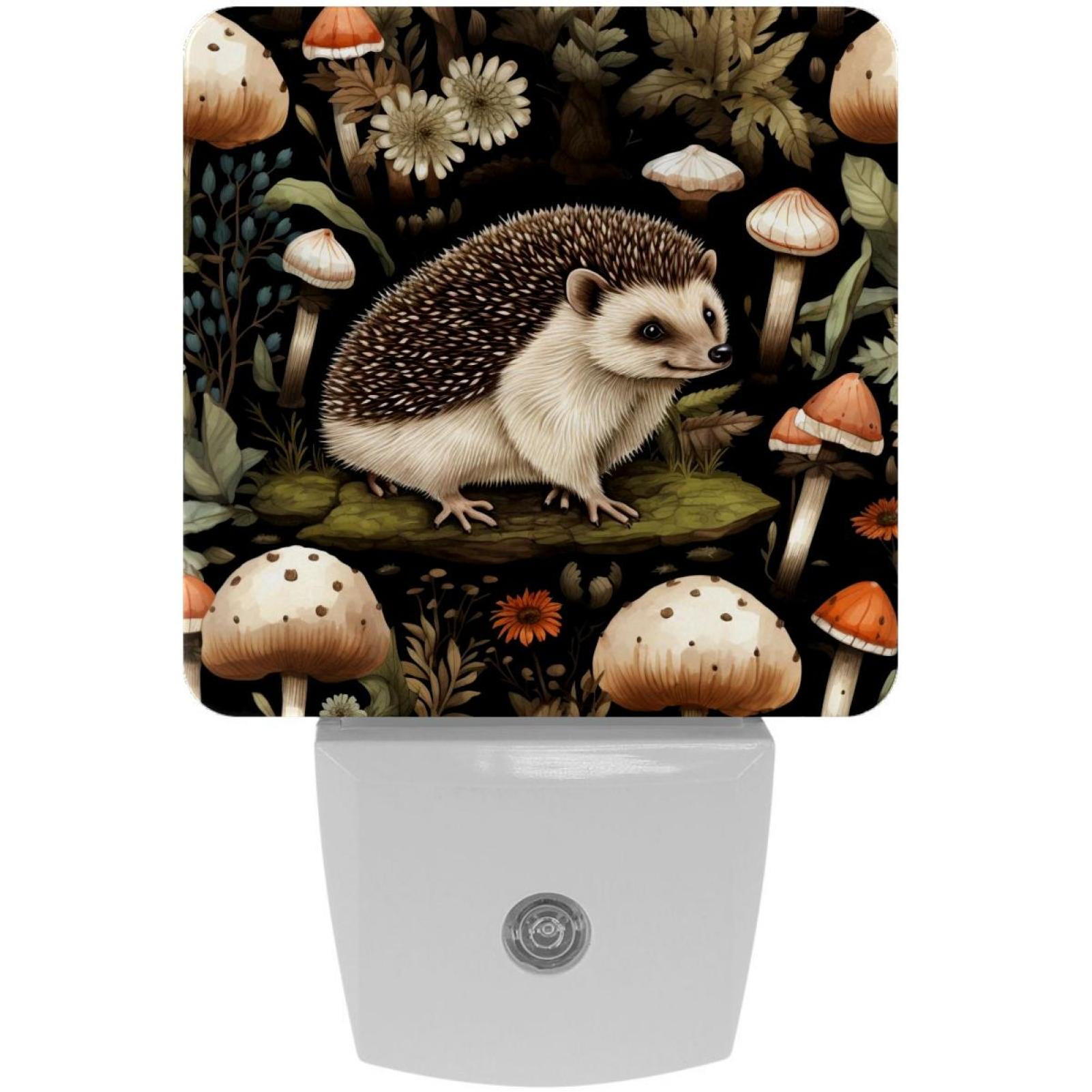 Hedgehog Enhance Your Space with LED Square Night Lights - Versatile ...