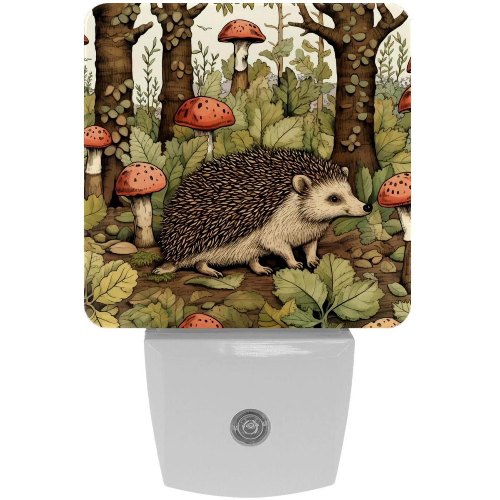 Hedgehog LED Square Night Light - Energy Efficient and Stylish ...