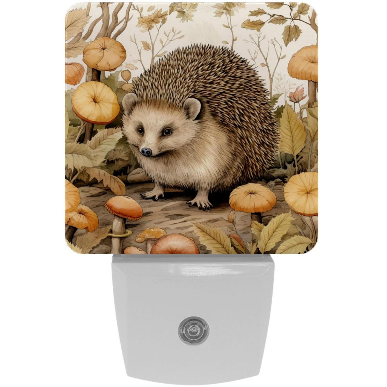 Hedgehog LED Square Night Light - Energy Efficient and Stylish ...