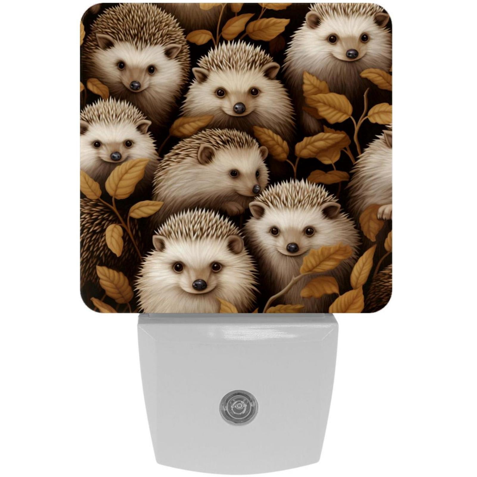 Hedgehog LED Square Night Lights: Compact and Energy-Efficient ...