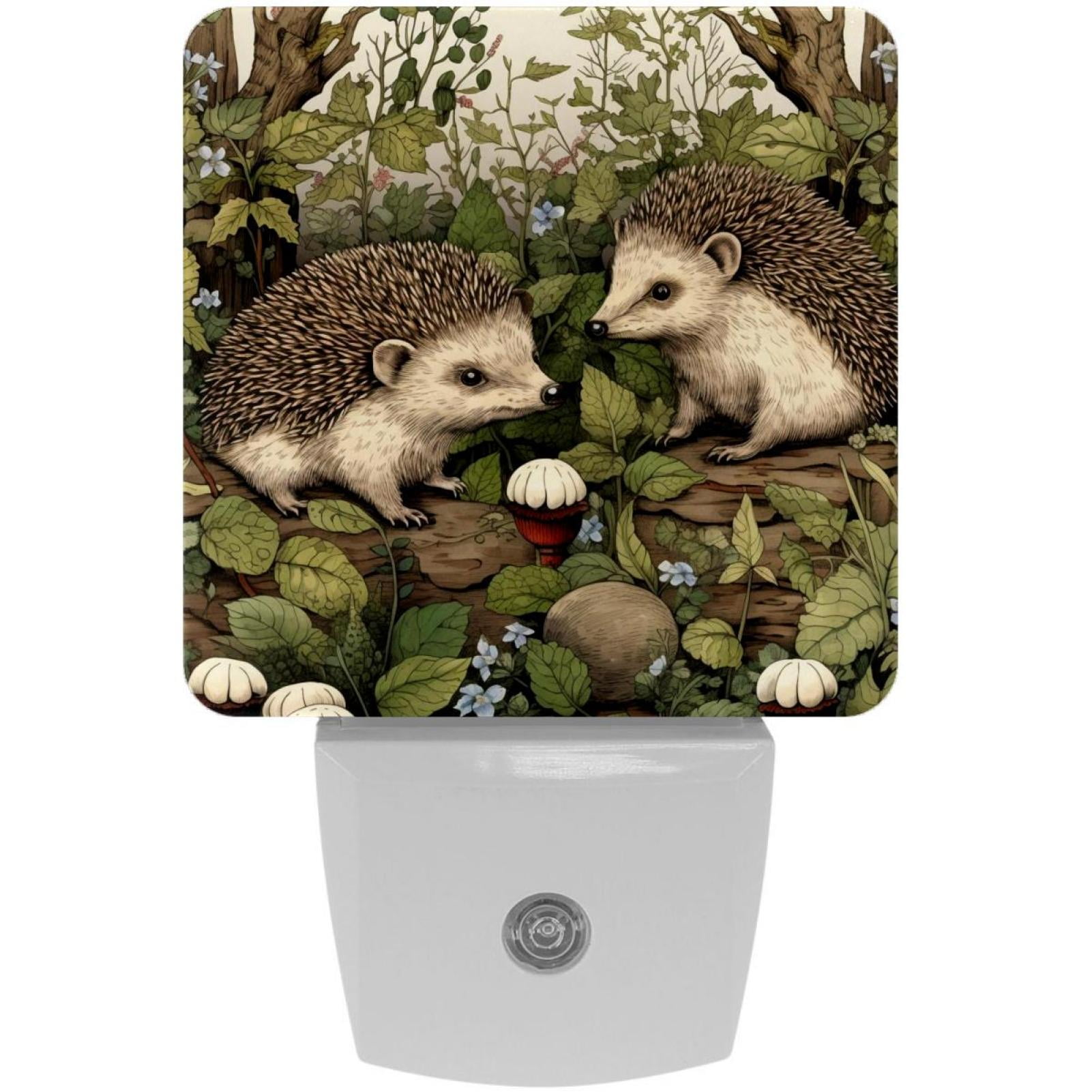 Hedgehog LED Square Night Lights: Compact and Energy-Efficient ...