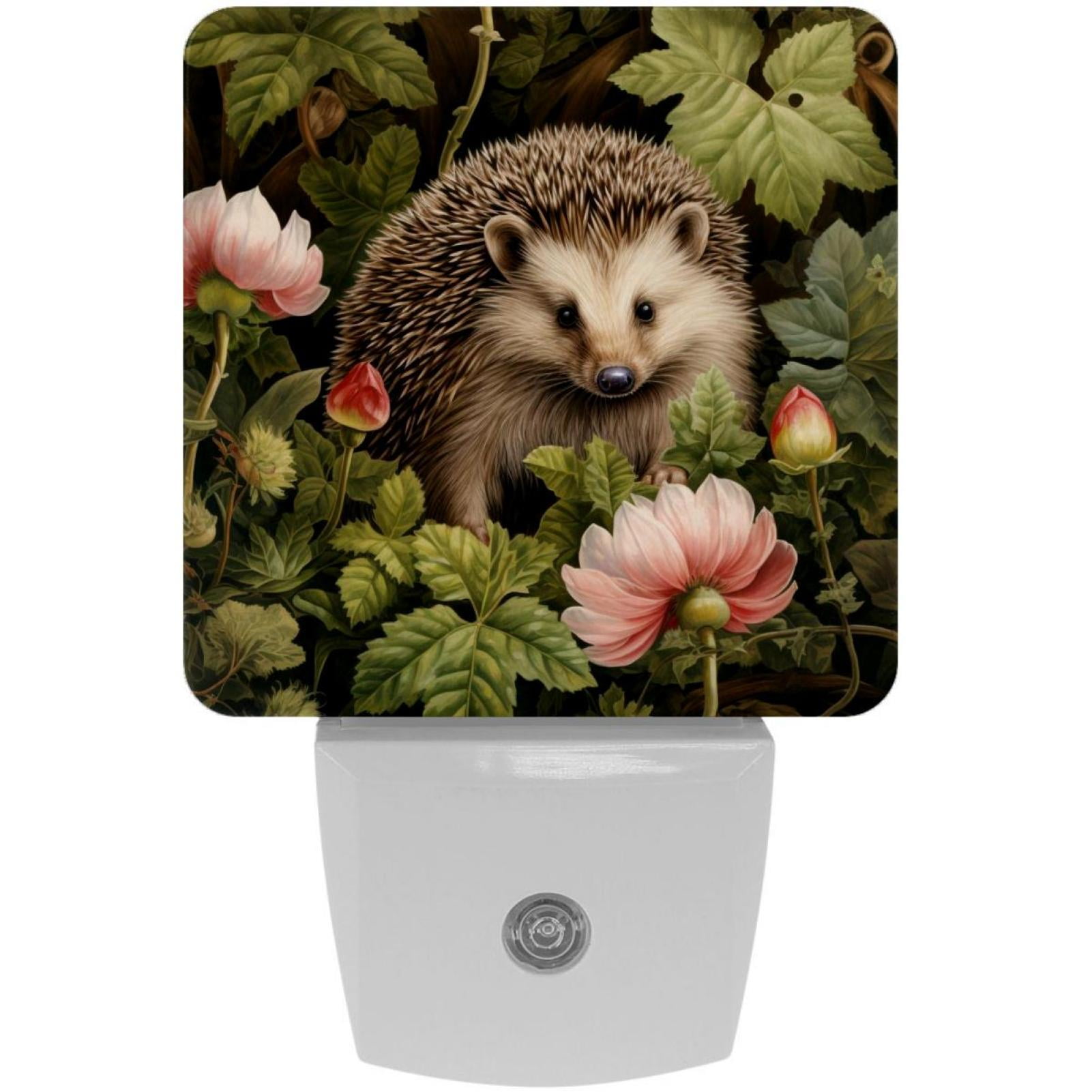 Hedgehog LED Square Night Lights - Compact and Multifunctional ...