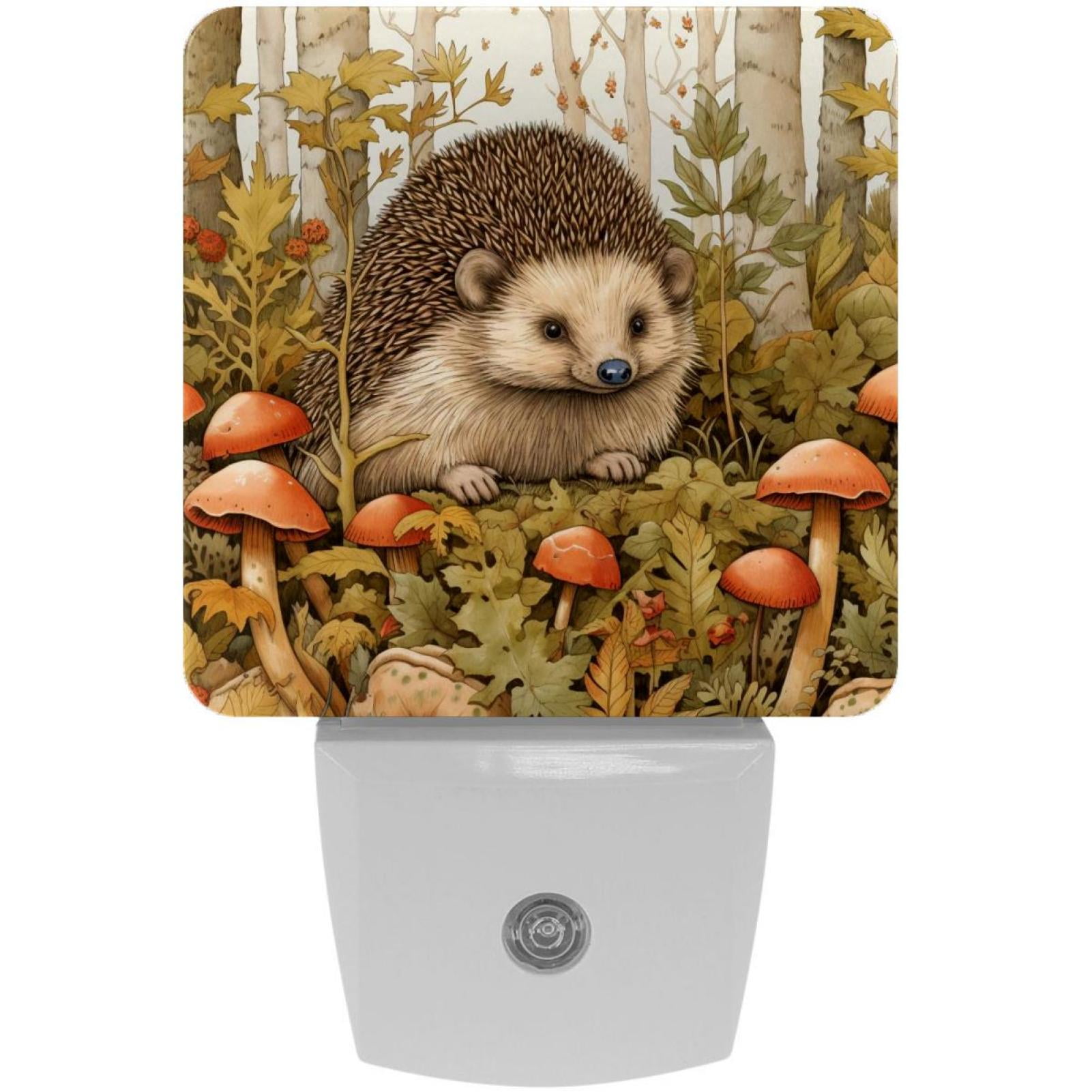 Hedgehog LED Square Night Lights - Compact and Multifunctional ...