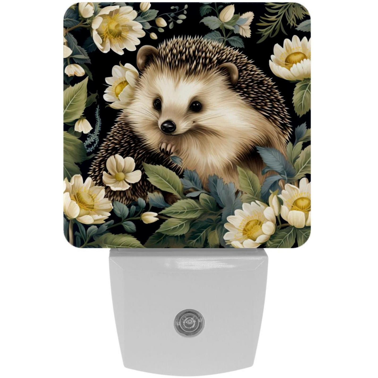 Hedgehog LED Square Night Lights - Elegant and Energy Efficient ...