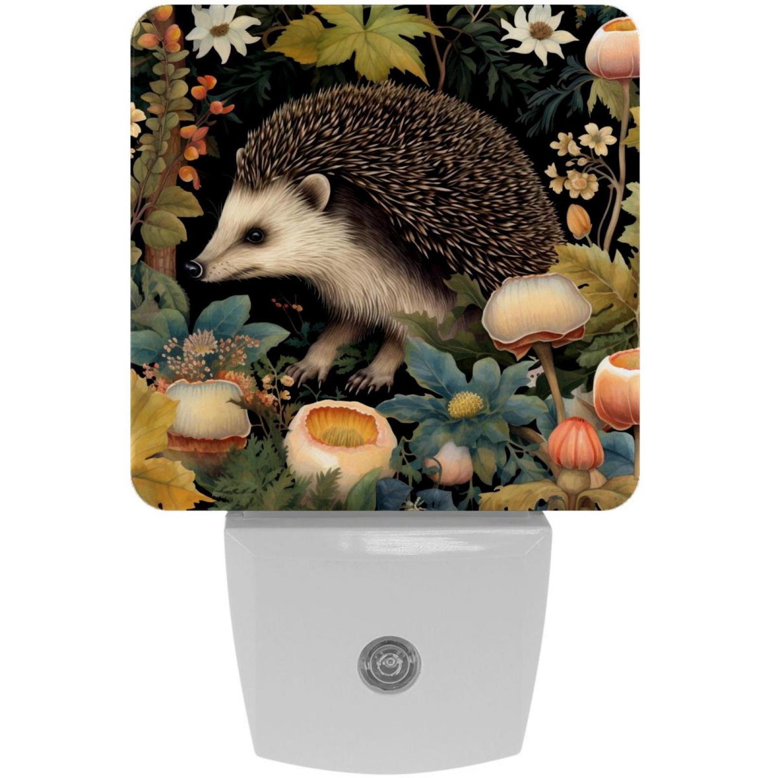 Hedgehog LED Square Night Lights - Energy Efficient Bedside Lamp with ...