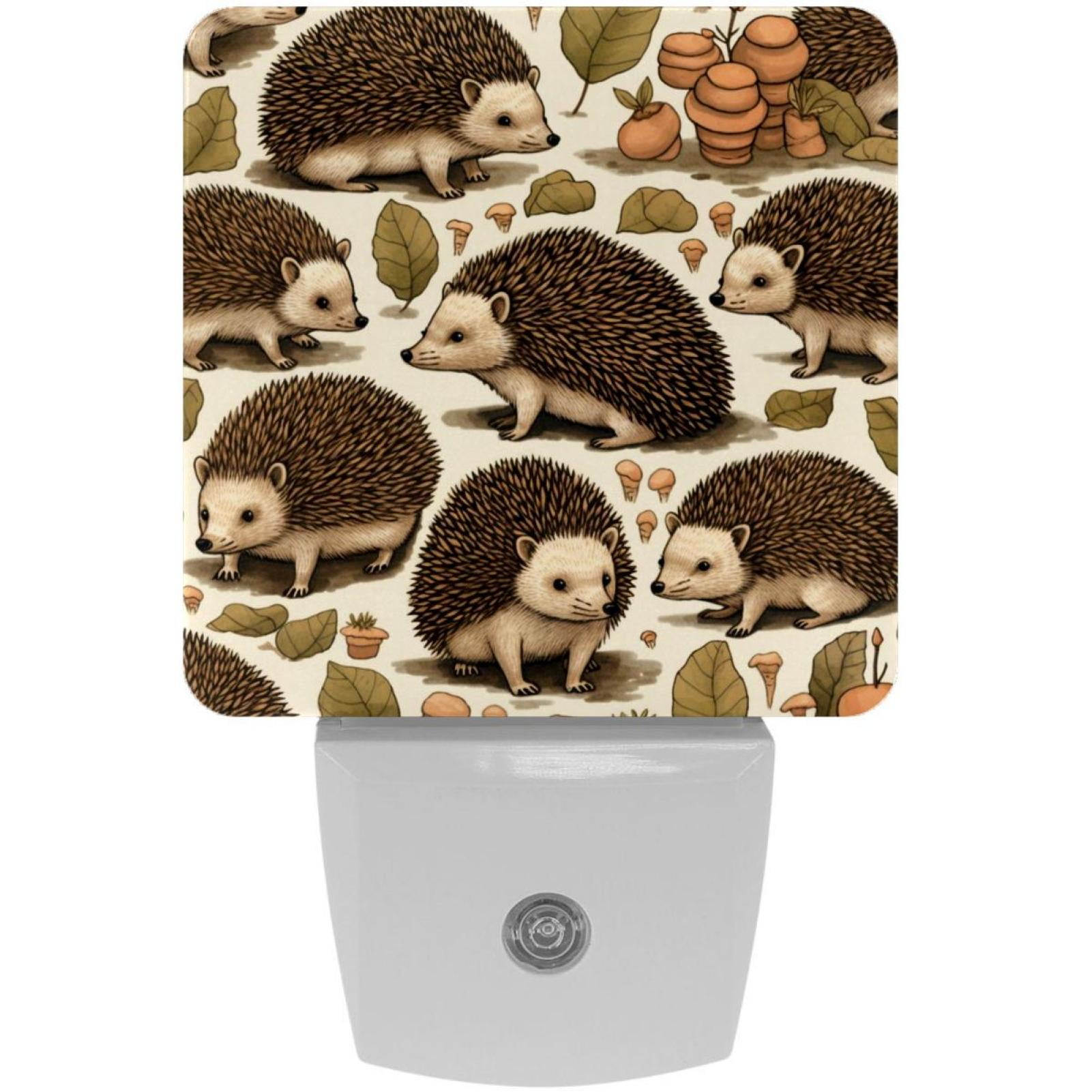 Hedgehog LED Square Night Lights - Energy Efficient Bedside Lamp with ...
