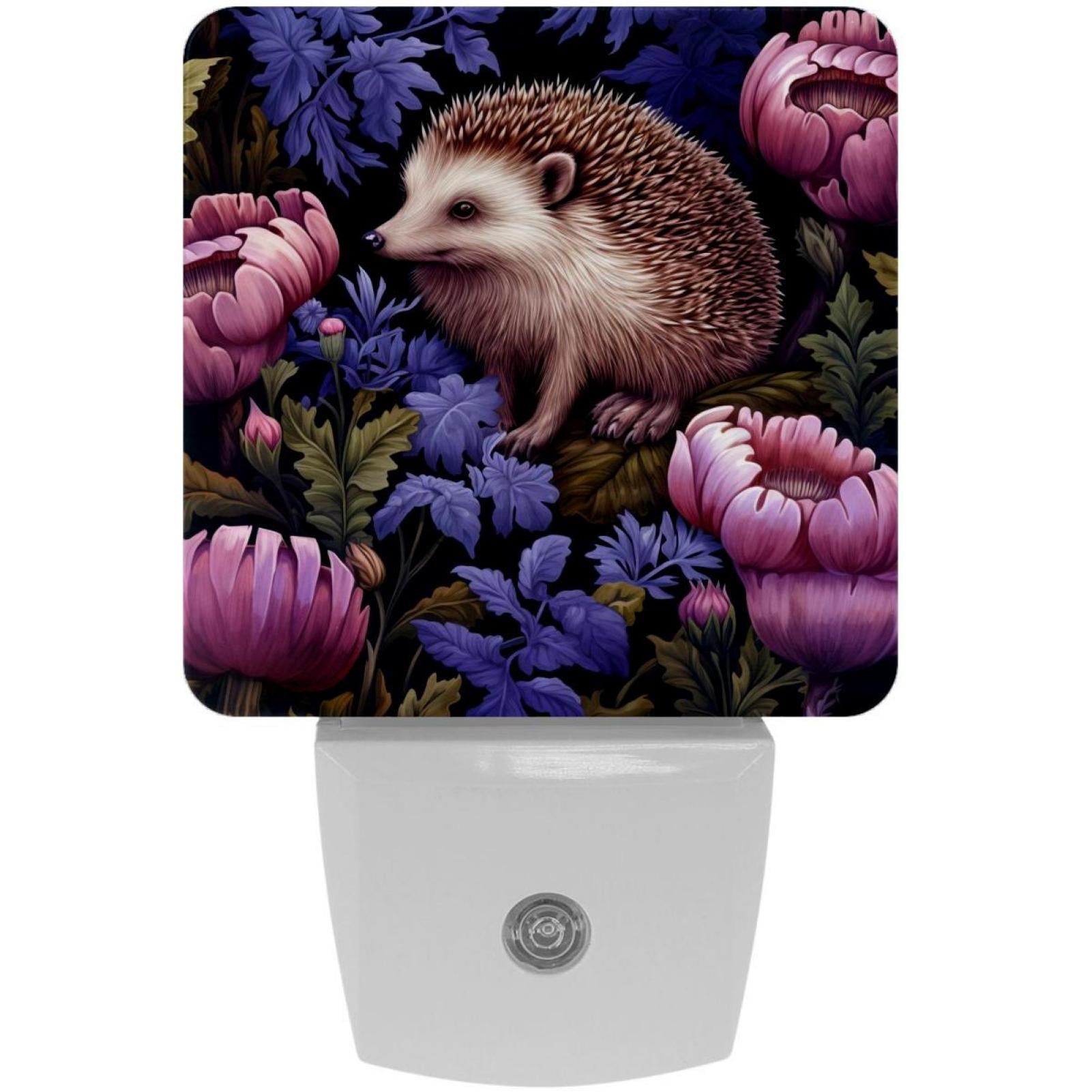Hedgehog LED Square Night Lights - Energy Efficient & Elegant ...