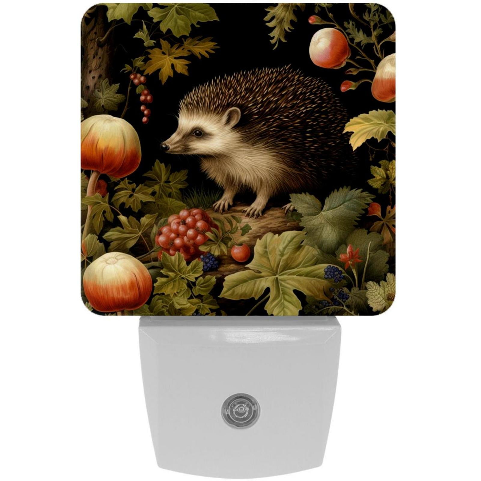 Hedgehog LED Square Night Lights - Energy Efficient and Stylish Room ...