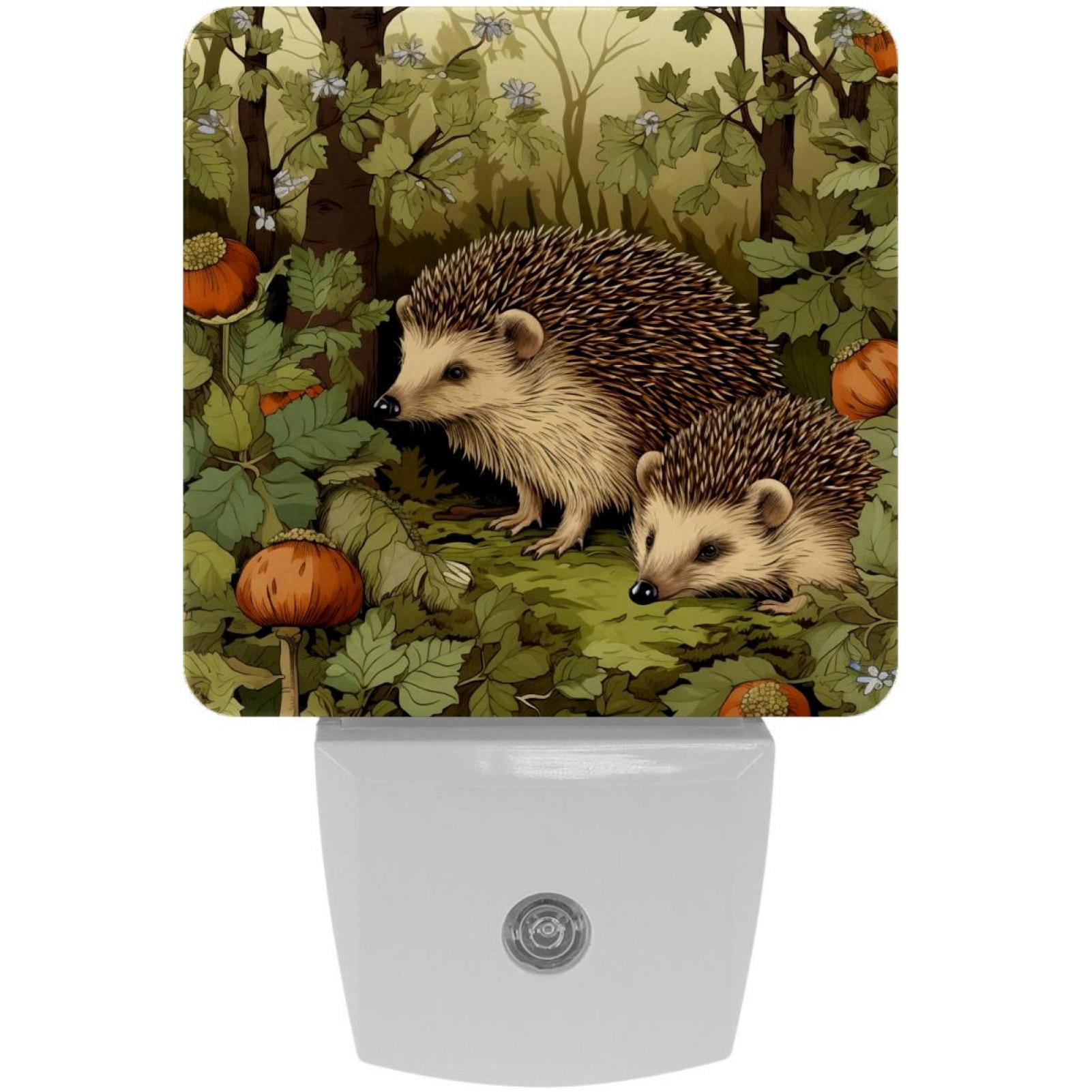 Hedgehog LED Square Night Lights - Illuminating Your Space with Style ...