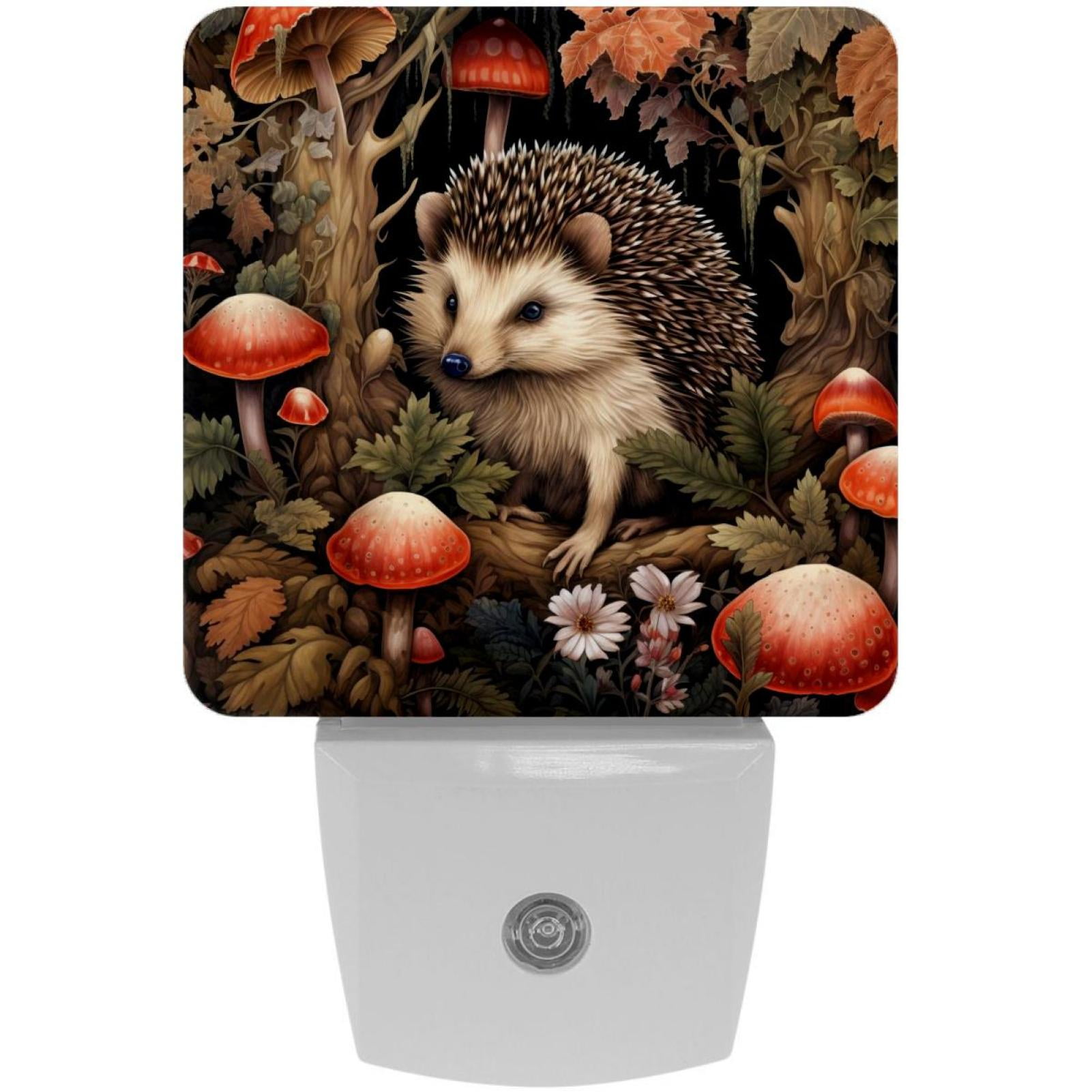 Hedgehog LED Square Night Lights - Modern and Versatile Plug-in ...