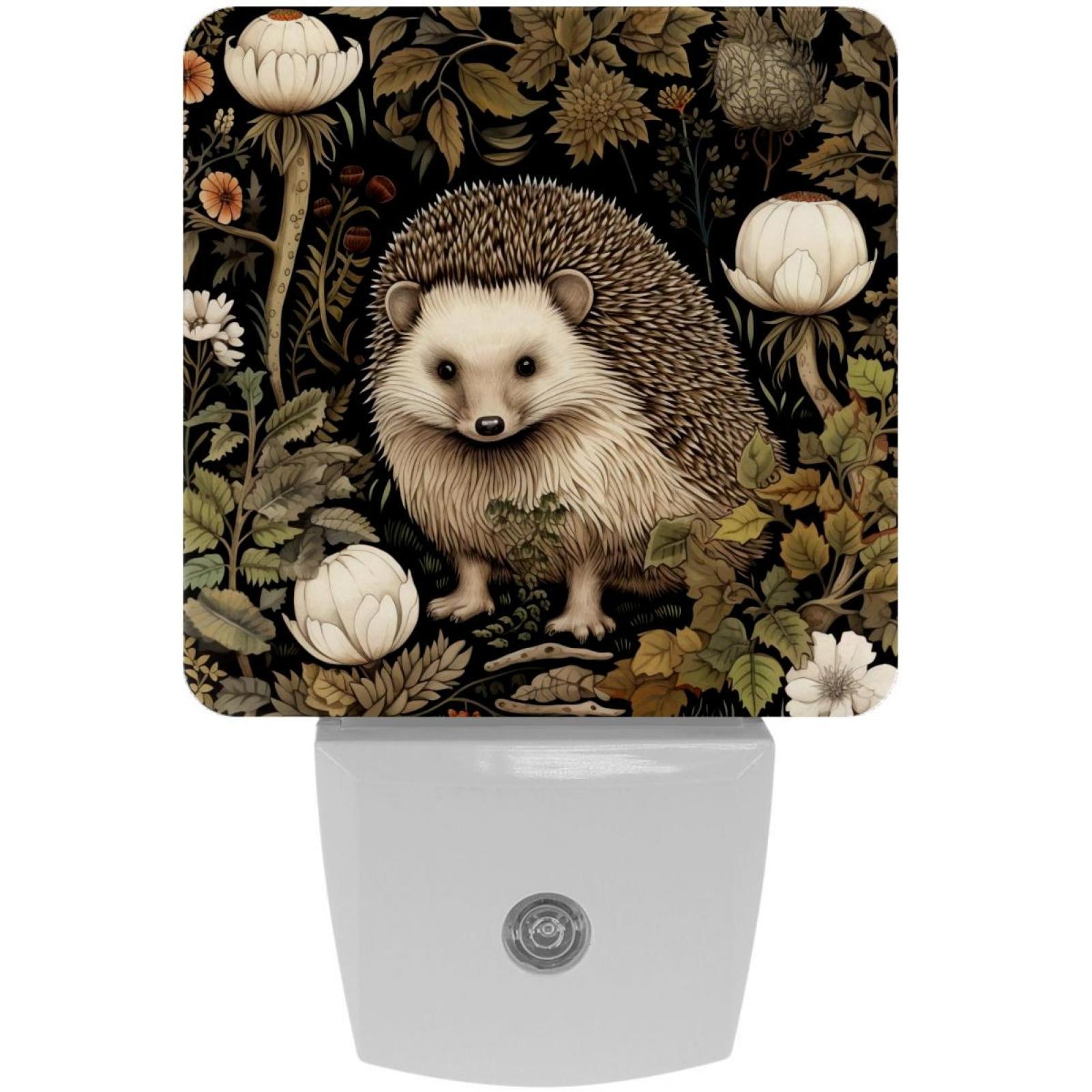 Hedgehog LED Square Night Lights - Small and Bright Illumination for ...
