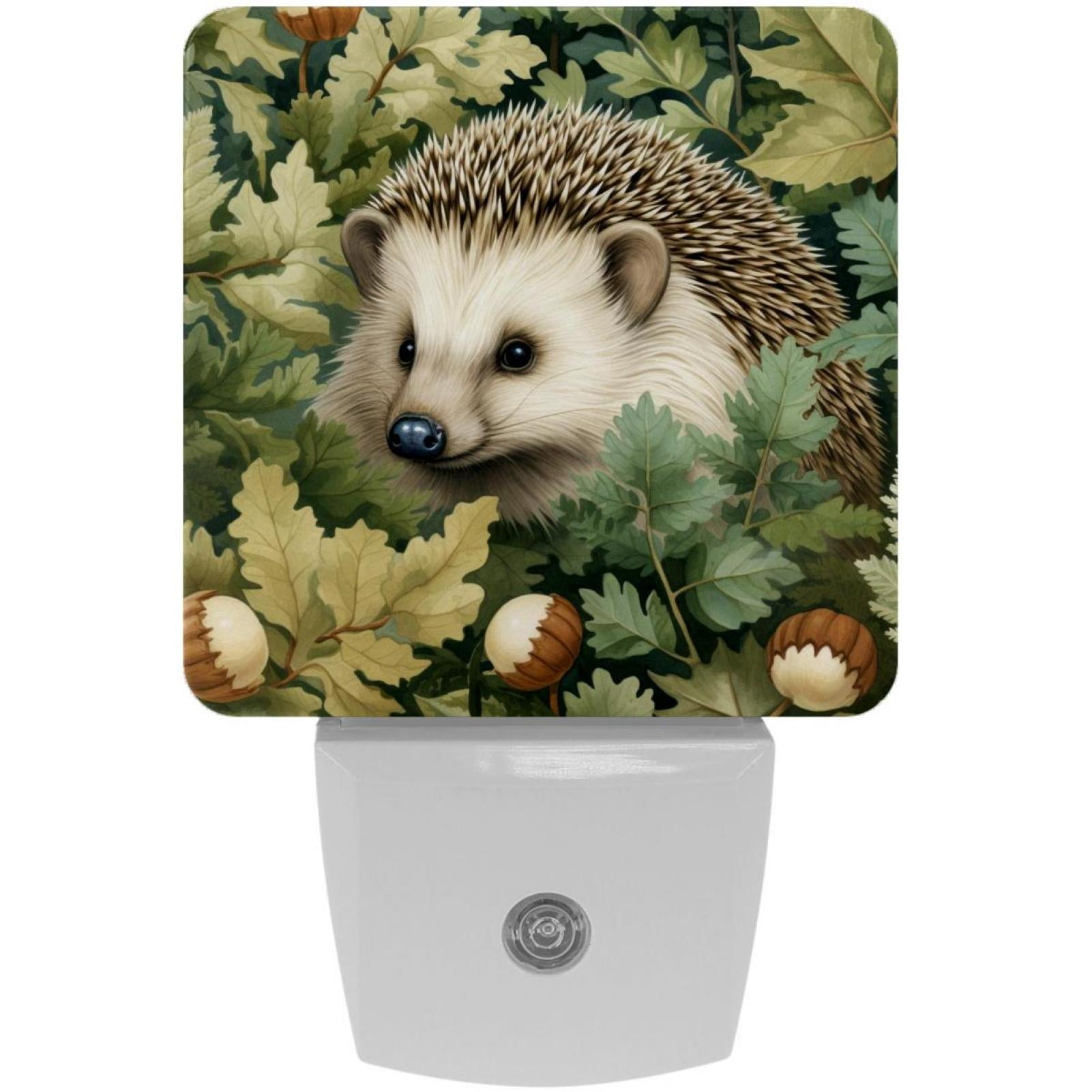 Hedgehog LED Square Night Lights - Small and Bright Illumination for ...