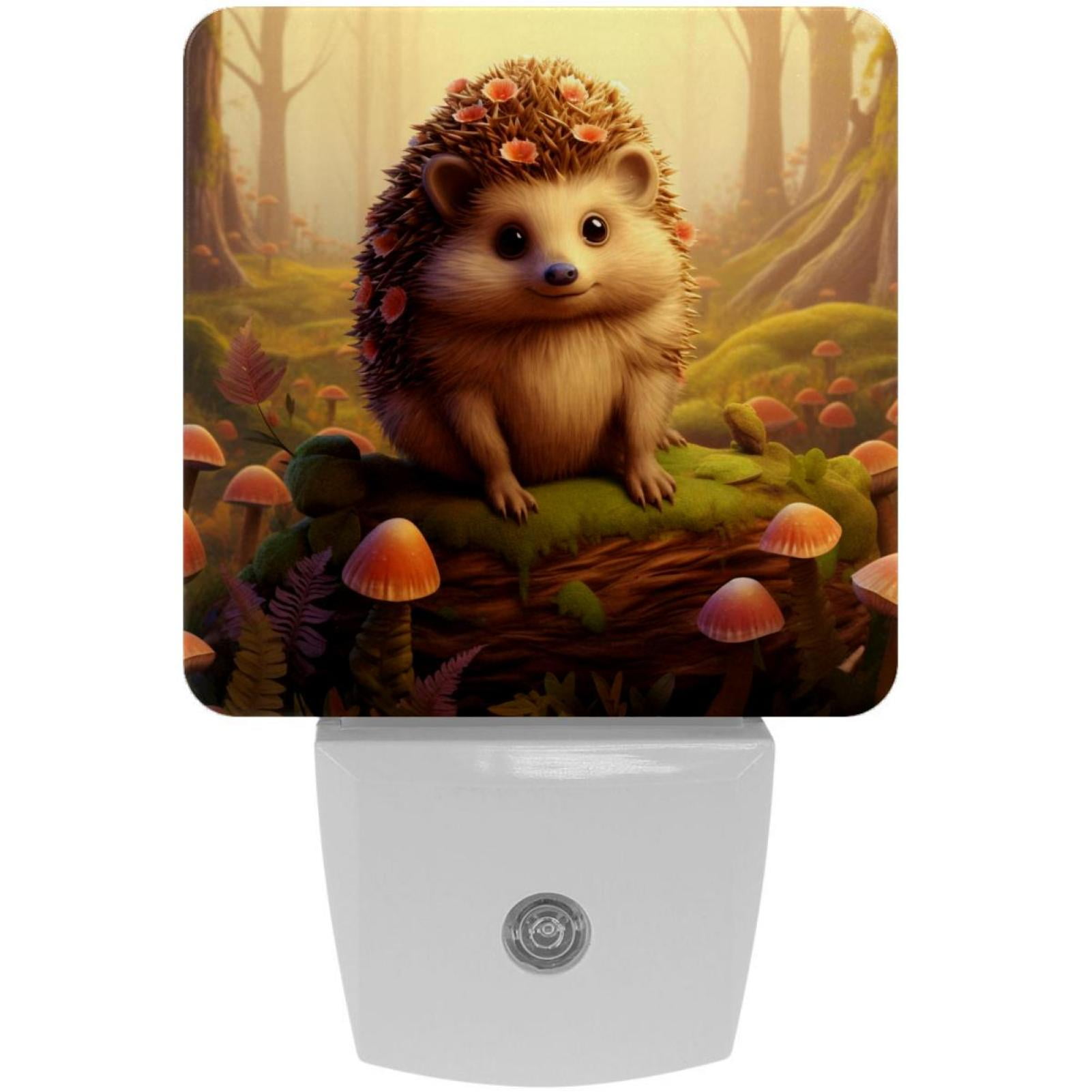 Hedgehog LED Square Night Lights - Small and Bright Illumination for ...
