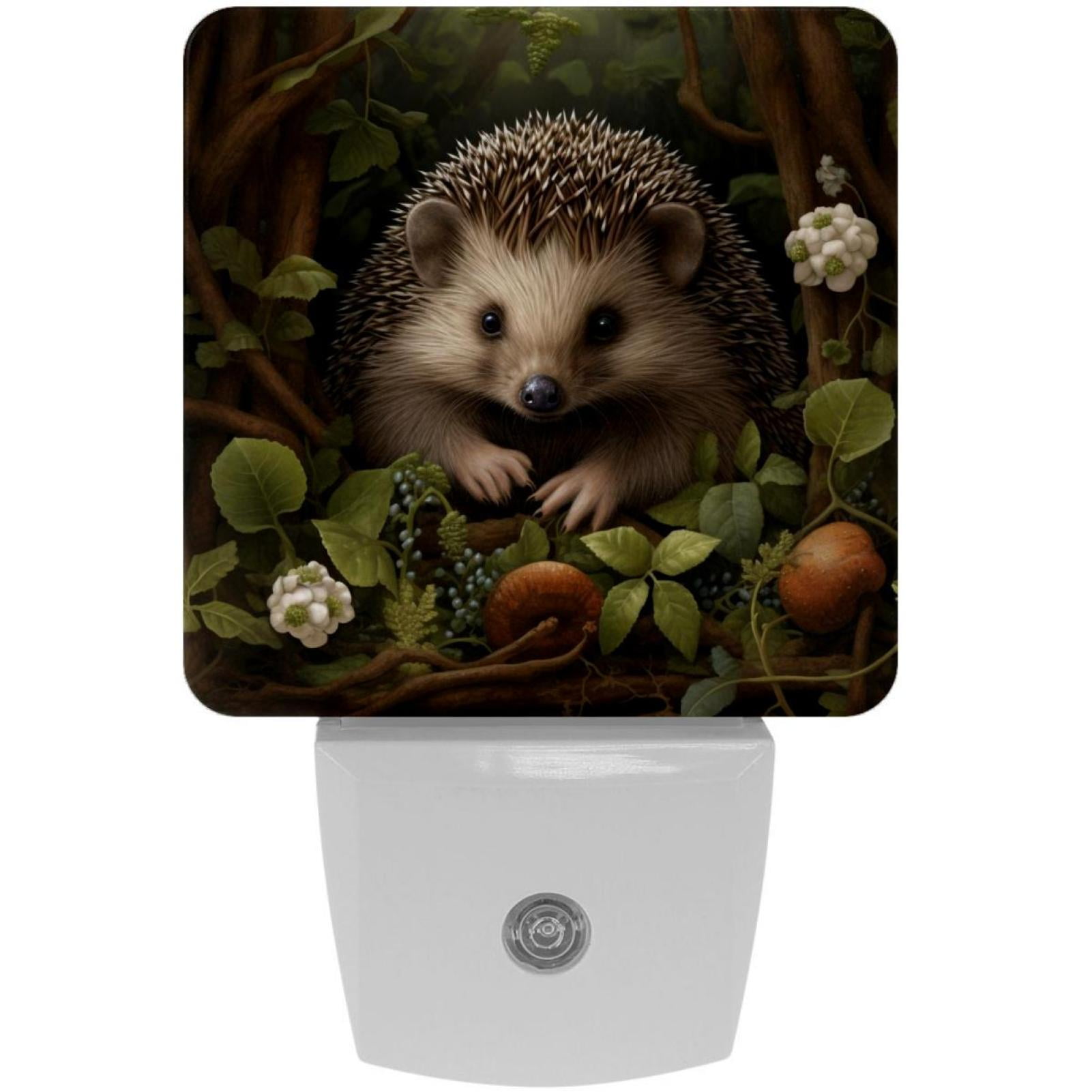 Hedgehog LED Square Night Lights - Small and Bright Illumination for ...