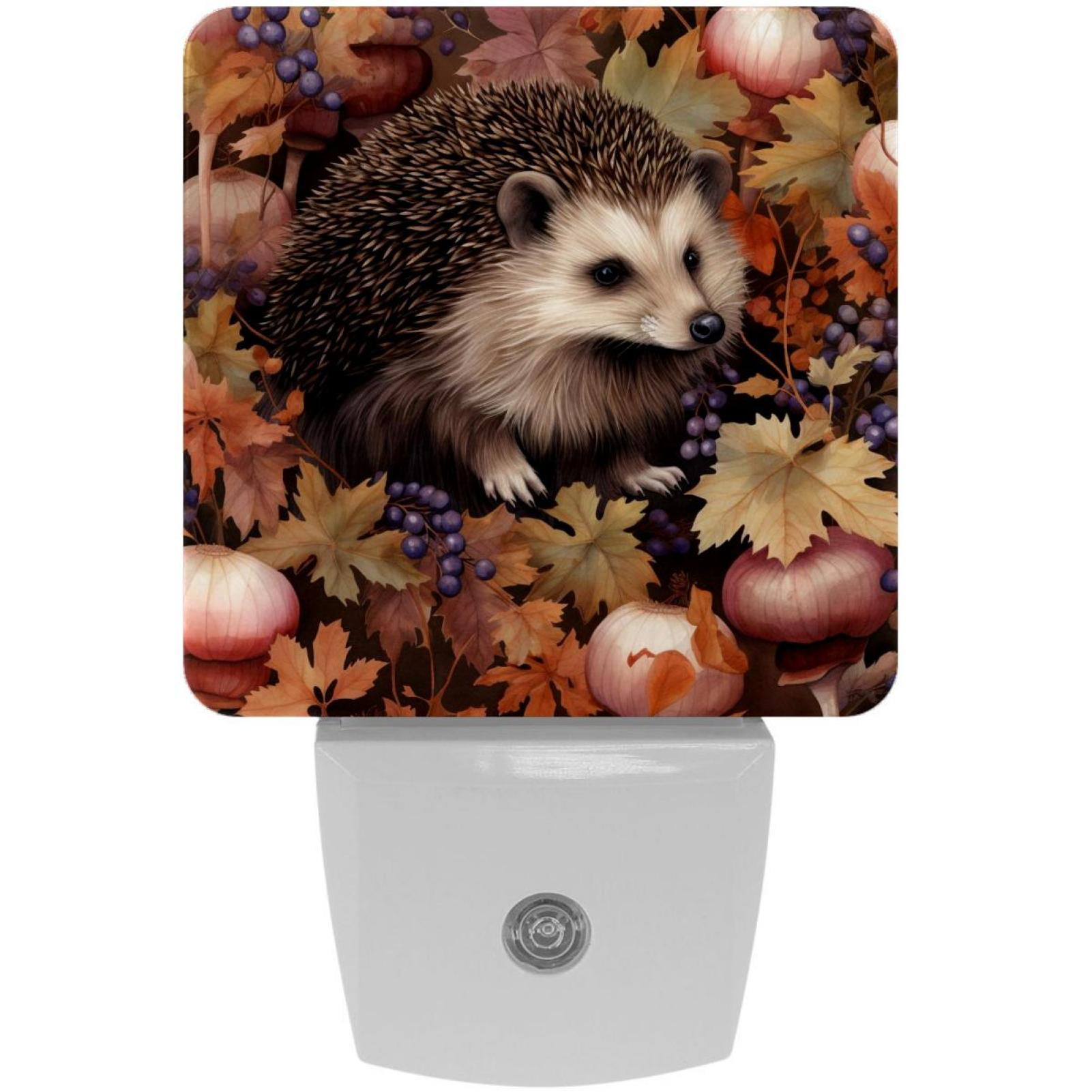Hedgehog LED Square Night Lights - Stylish and Convenient Illumination ...