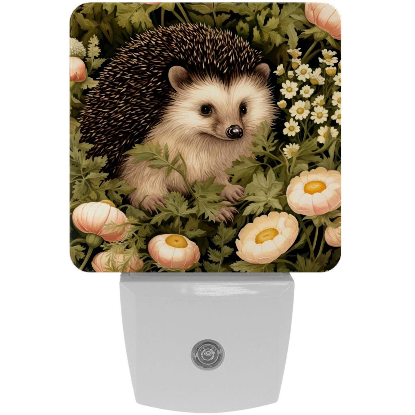 Hedgehog LED Square Night Lights - Stylish and Convenient Illumination ...