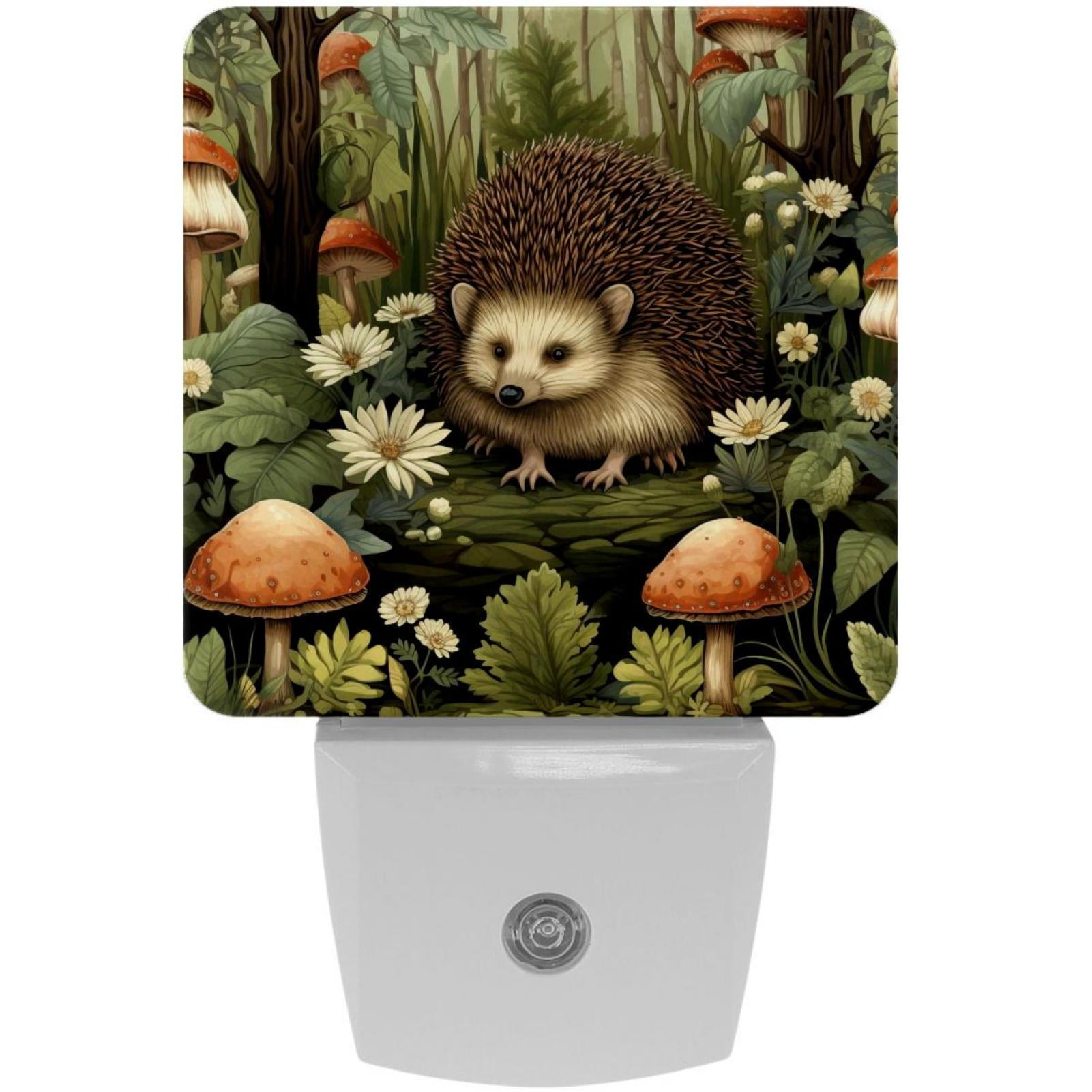 Hedgehog LED Square Night Lights - Stylish and Energy-Efficient ...
