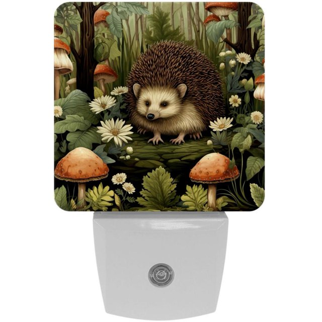 Hedgehog LED Square Night Lights - Stylish and Energy-Efficient ...