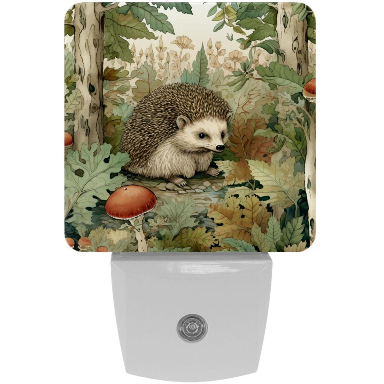Hedgehog LED Square Night Lights - Stylish and Energy-Efficient ...