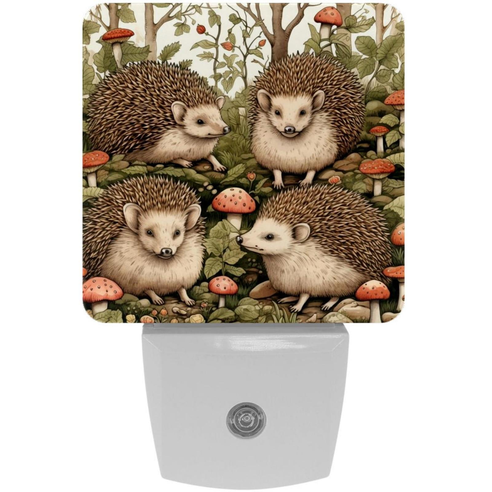 Hedgehog LED Square Night Lights - Stylish and Energy-Efficient Room ...