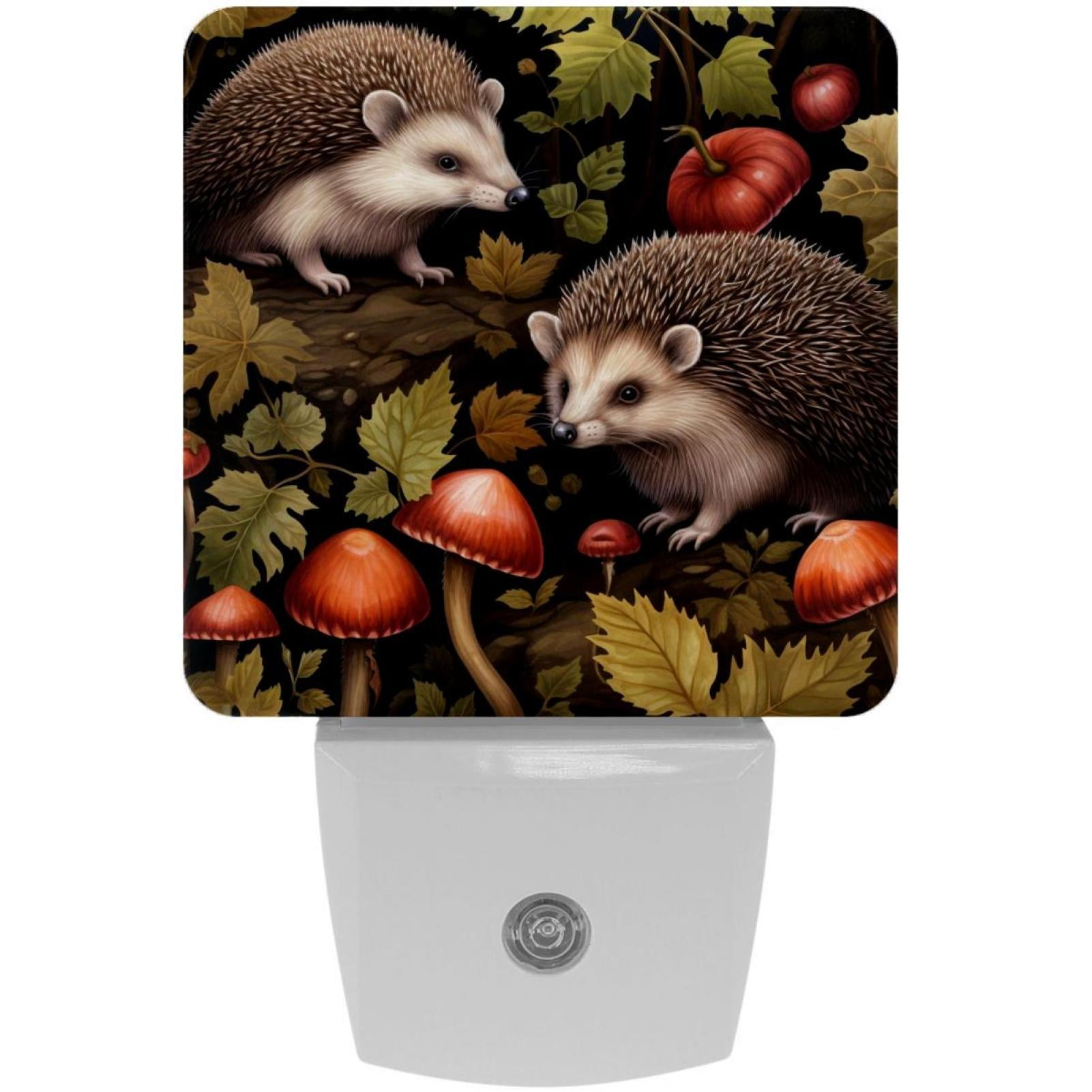 Hedgehog LED Square Night Lights - Stylish and Functional Nightlight ...