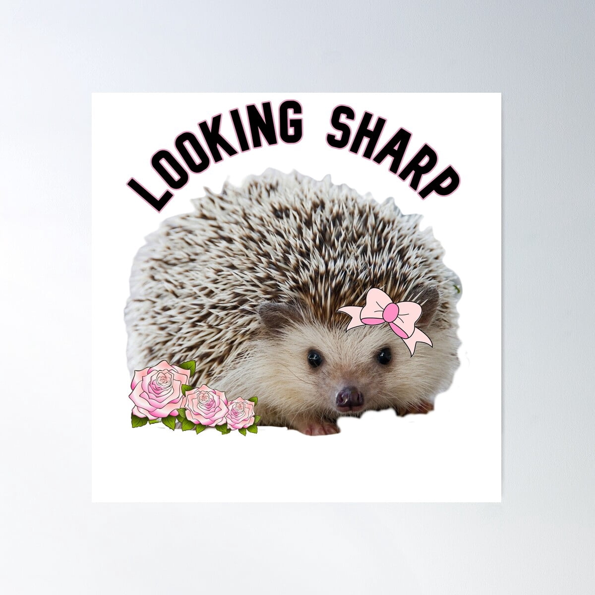 Hedgehog Looking Sharp-Hedgies Poster Wall Art, Modern Wall Decor For ...