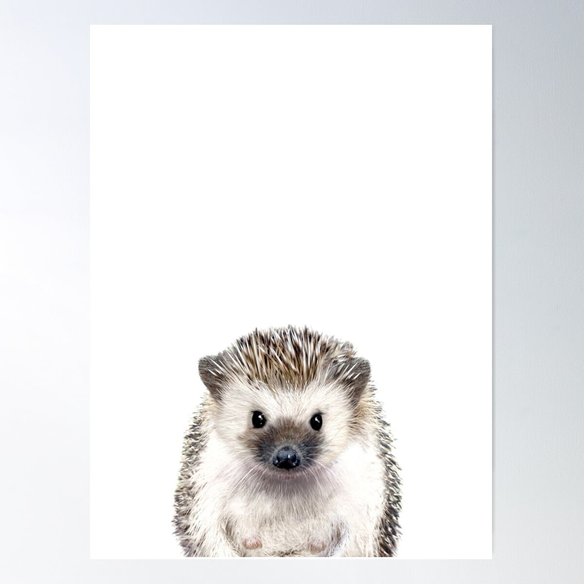 Hedgehog Poster Wall Art, Modern Wall Decor For Living Room Bedroom ...