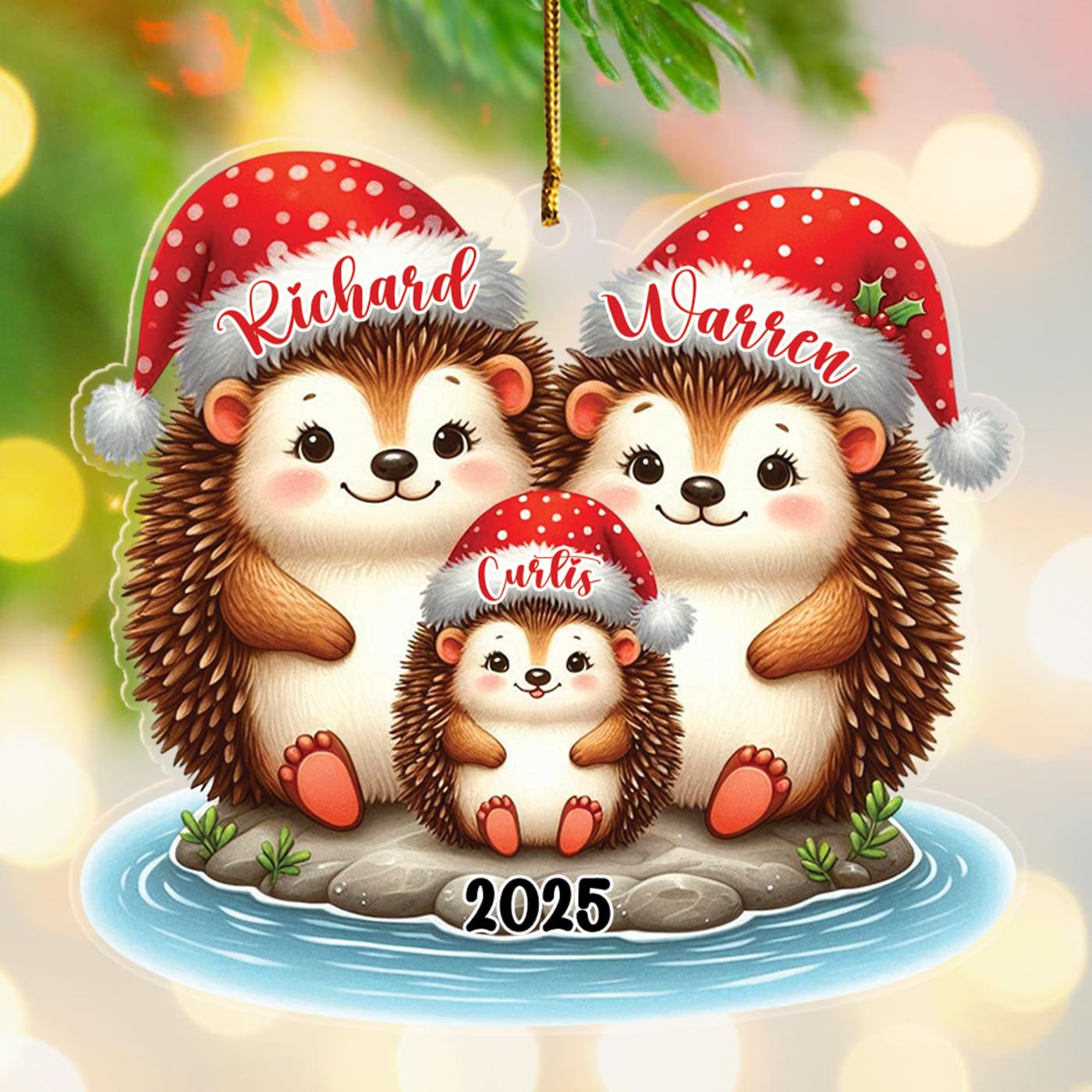 Hedgehog Shaped Xmas Ornament Gift for Family of 3, Personalized Family ...