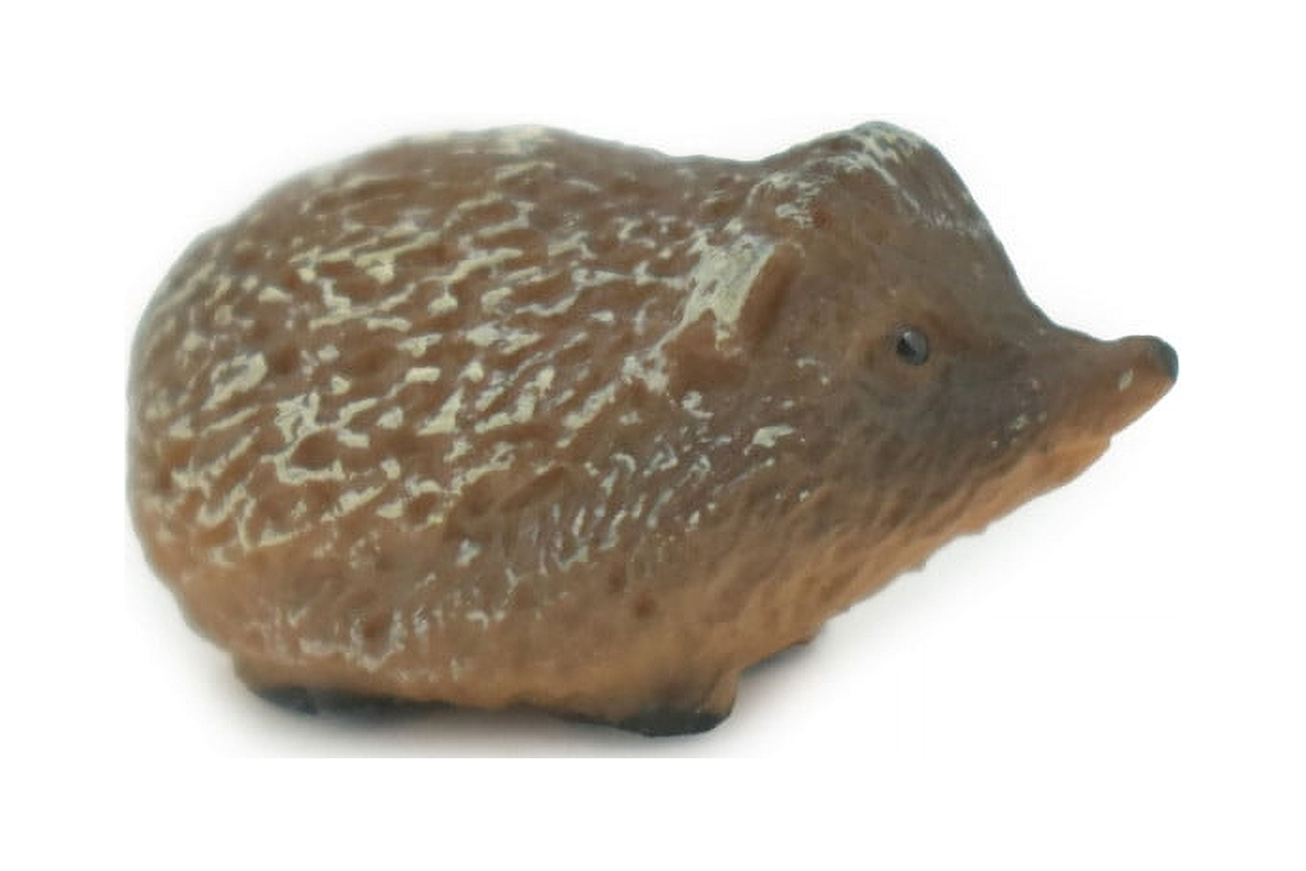 Hedgehog, Spiny Hedge Hog, High Quality, Hand Painted, Rubber, Animal ...