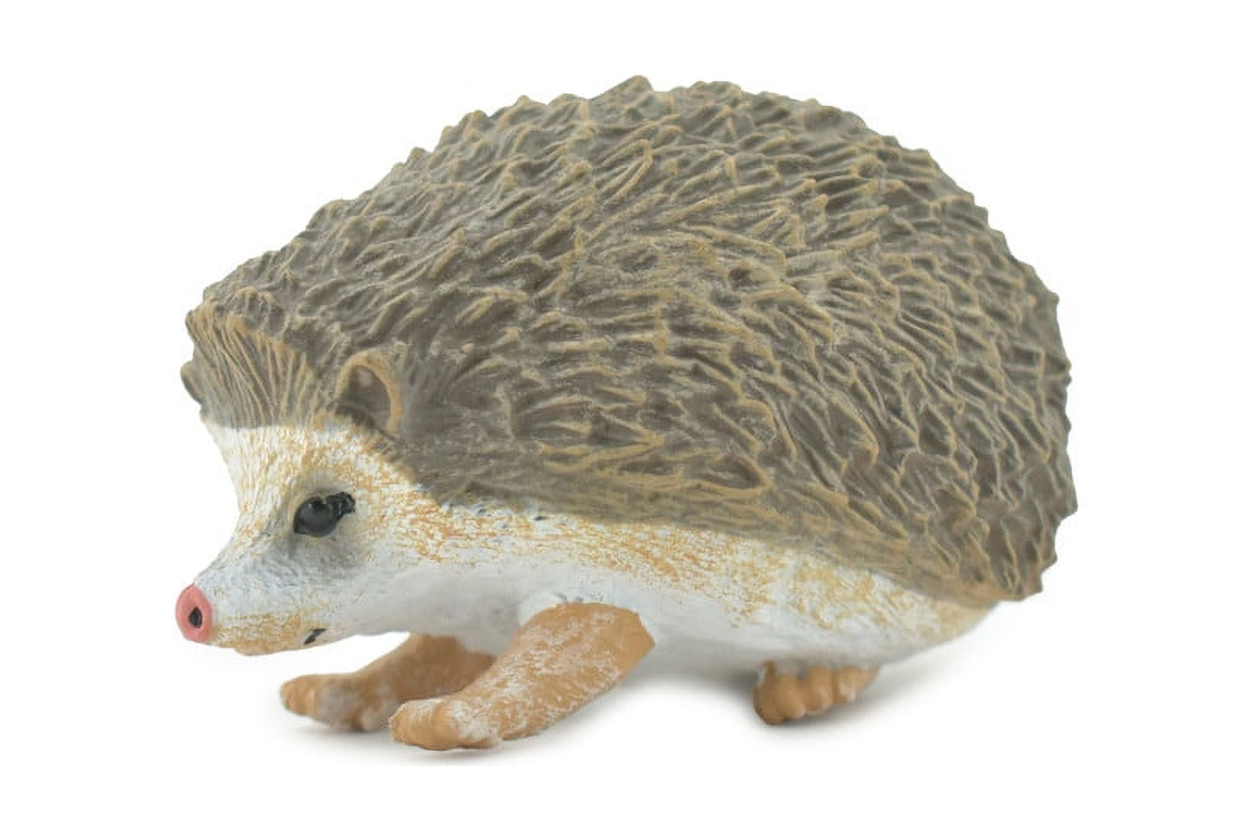 Hedgehog, Spiny Hedge Hog, Museum Quality, Hand Painted, Rubber, Animal ...