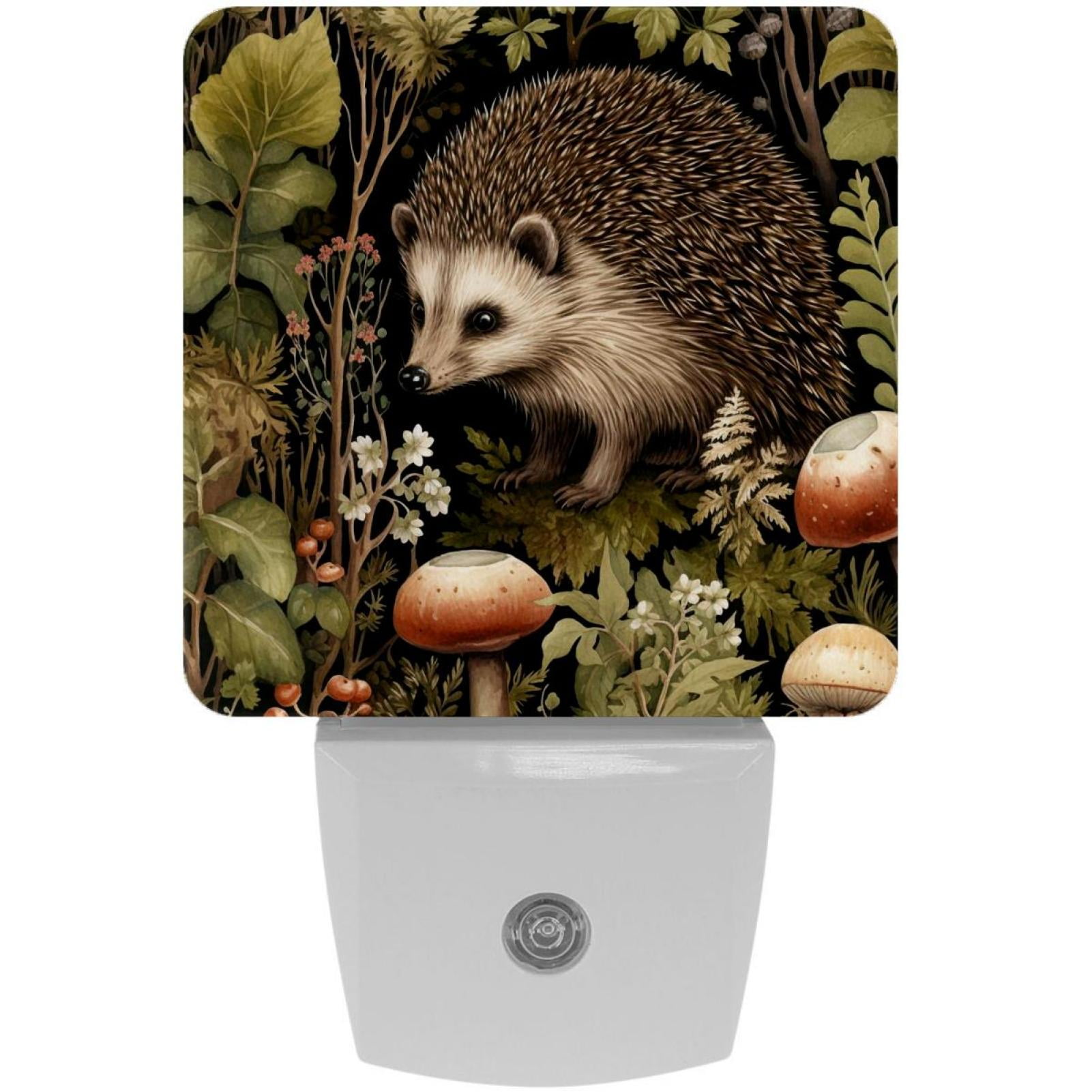 Hedgehog Square LED Night Lights - Small, Portable Lighting for Any ...
