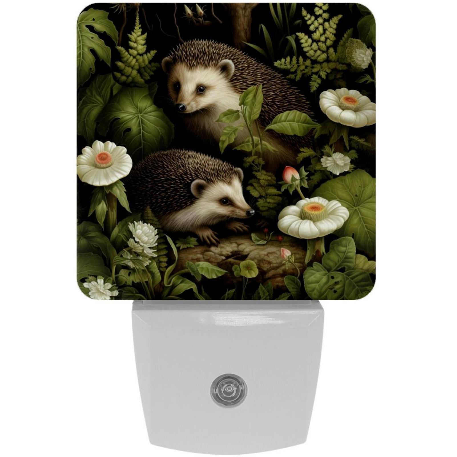 Hedgehog Square LED Night Lights - Small, Portable Lighting for Any ...