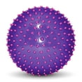 Hedstrom 9 Inch Purple Pink Spiky Rubber Ball Toy for Kids Indoor ...