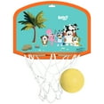 Hedstrom Over the Door Basketball Hoop Plastic Set, Bluey - Walmart.com